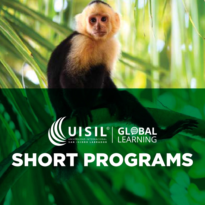 Global Learning - UISIL